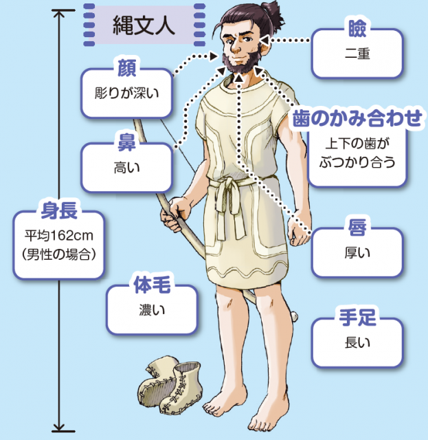縄文人と弥生人を比較!縄文時代晩期の日本にやってきた弥生人を知る まっぷるウェブ